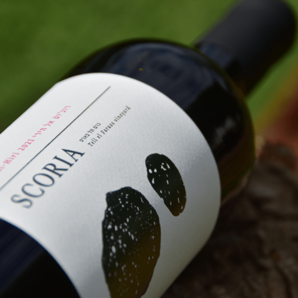 אירוח ביקב - Scoria Winery